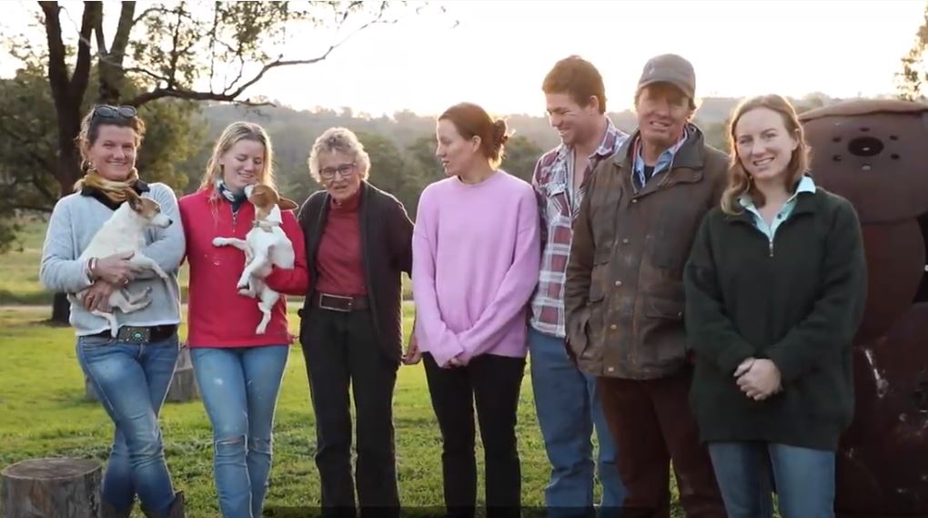 We care about humane, ethical, farming and fashion – LoveMerino